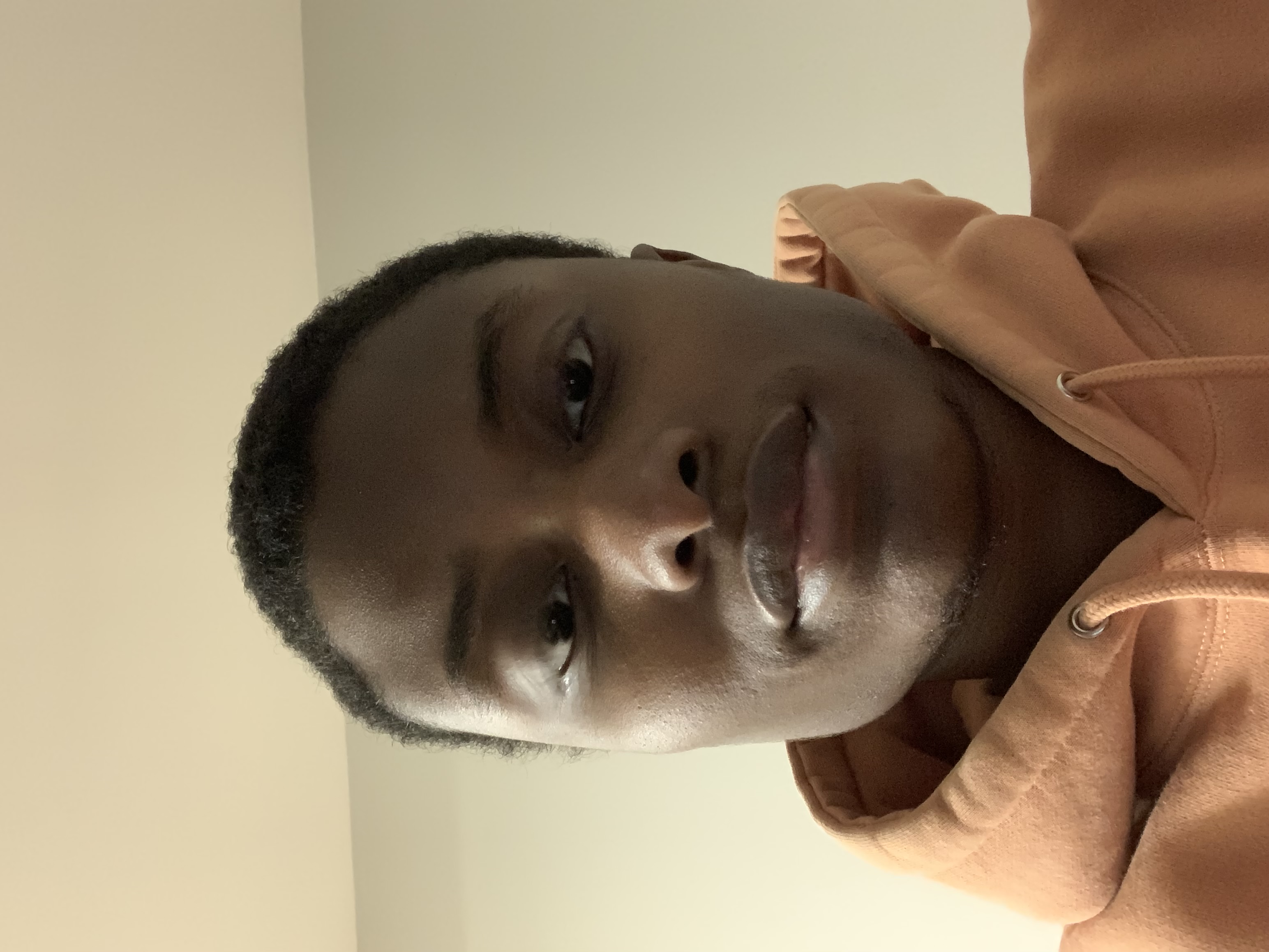 Michael Orishagbemi | CEAMLS SAIRI Website Summer 2025